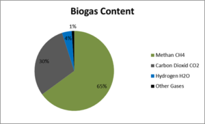 Biogas - Bioenergy Concept GmbH